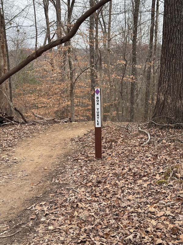 Box Turtle Multi Trail - Collegedale, Tennessee