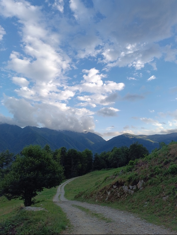 Uphill Gallina Mountain Biking Trail - | Trailforks