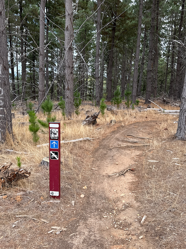 Tank to Tank Mountain Biking Trail - Tank 7, Nannup