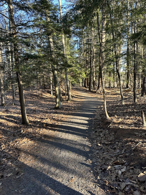 Clarke Brook Trail Multi Trail - Westbrook, Maine