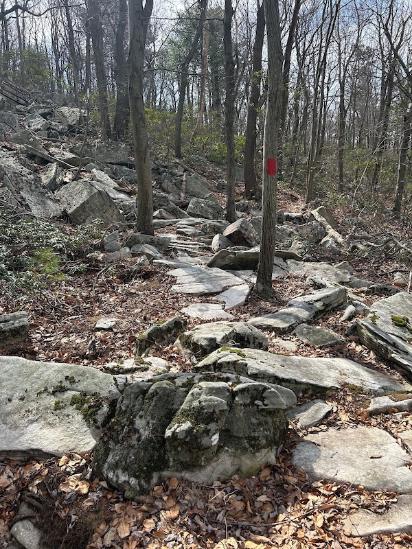 Buchanan State Forest - Bear Valley Tract, Chambersburg Mountain Biking ...