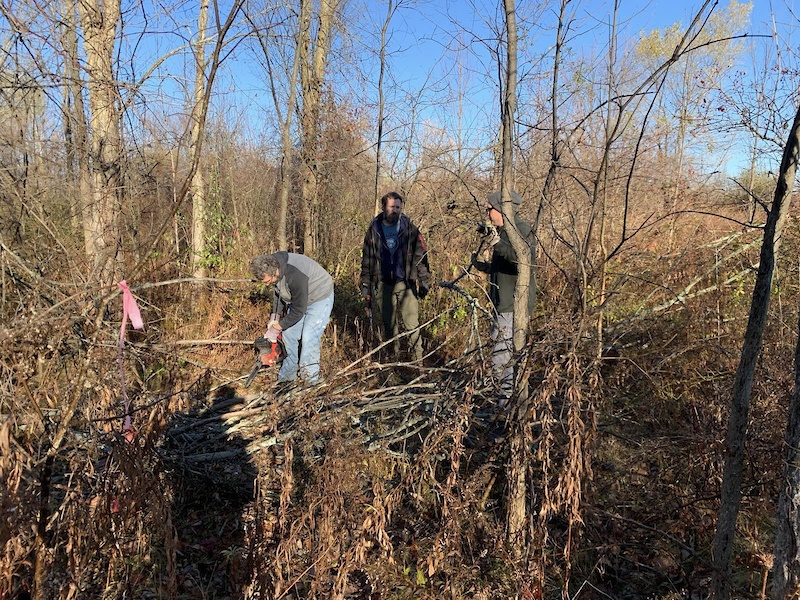 Berry Patch Mountain Biking Trail - Comstock Park, MI