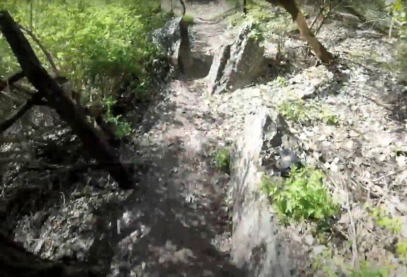 Sylvan Island Park, Moline Mountain Biking Trails | Trailforks