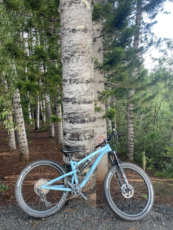 2021 Diamondback Catch 2 - Small For Sale