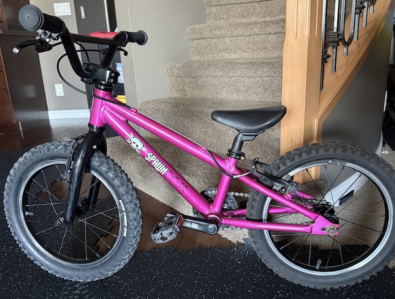 2019 SPAWN Banshee 16 inch wheels For Sale