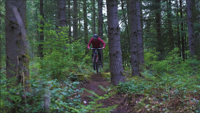 Hidden Valley Mountain Biking Trail - Bellingham, WA