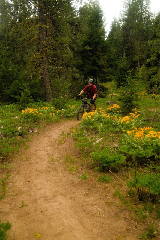 Upper Big Sandy Trail Mountain Biking Trail - Cle Elum