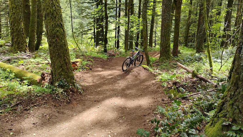 Ouroboros Mountain Biking Trail - Cascade Locks, Oregon