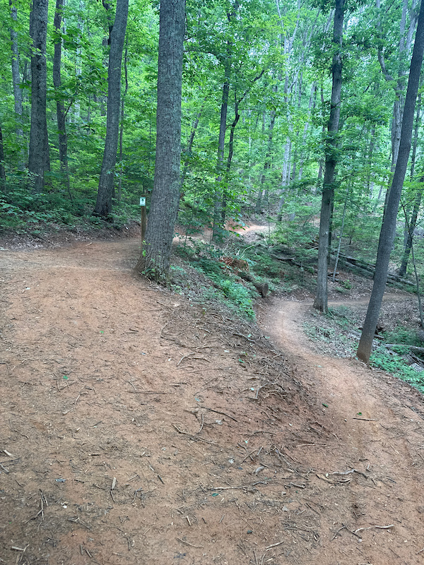 Ripsaw Cove Loop Multi Trail - Mill Spring, NC