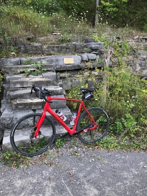 2016 Specialized Diverge Carbon 64cm For Sale