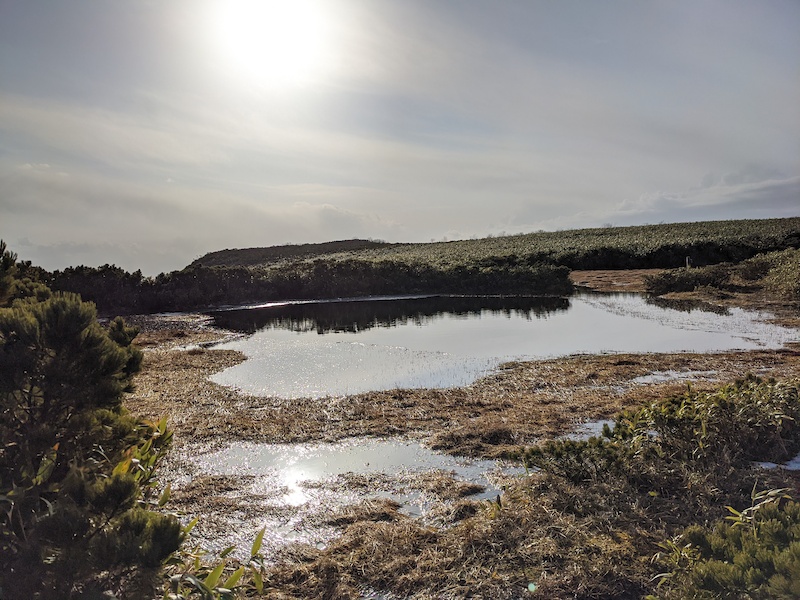 Mt. Raiden Trail Hiking Trail - | Trailforks