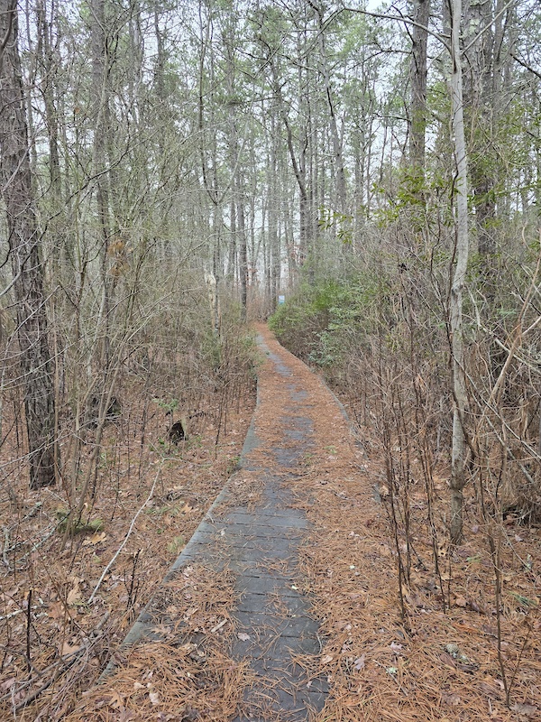 To Spectacle Pond Multi Trail - Wellfleet, Massachusetts