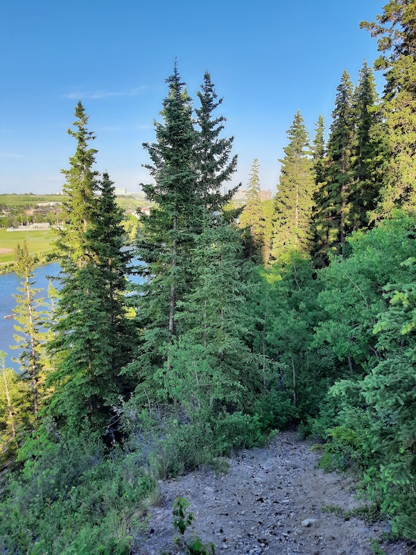 'Gravity' Watson Multi Trail - Calgary, AB | Trailforks