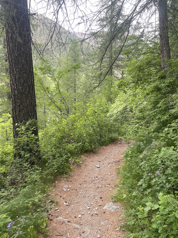 Sentier Cascade De Débaret Multi Trail - | Trailforks
