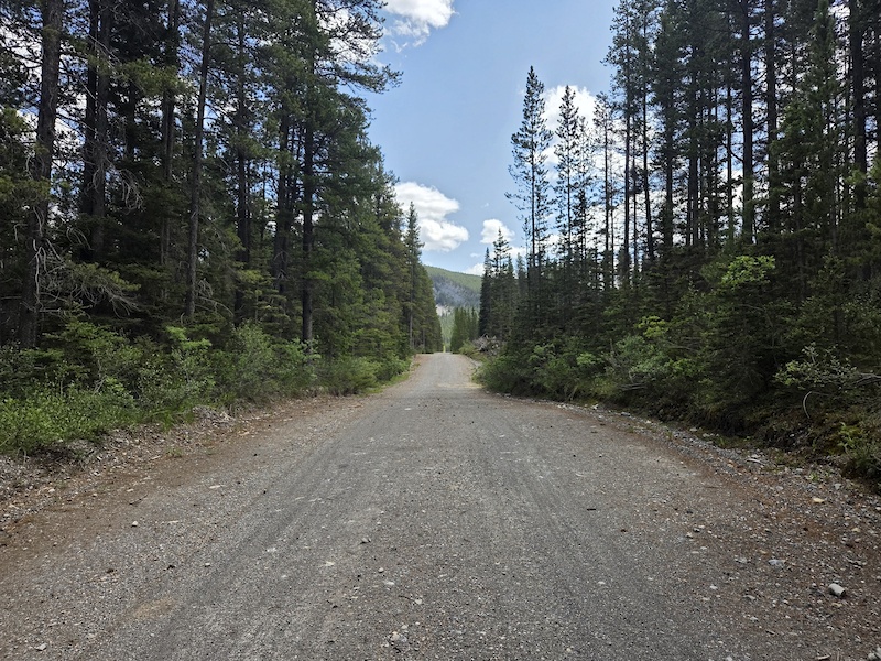 Spray Lake Westside Road Multi Trail - Canmore, Alberta
