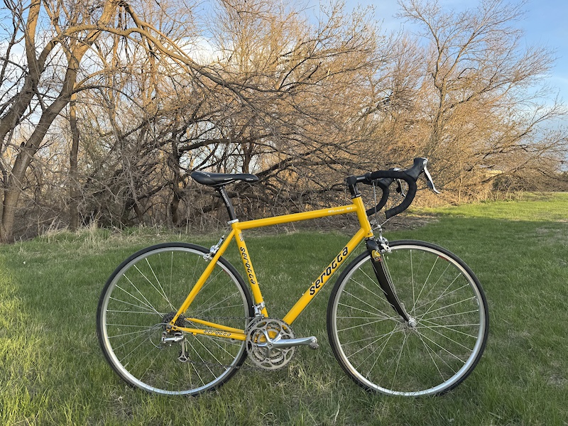 Serotta Fierte Titanium Road Bike For Sale