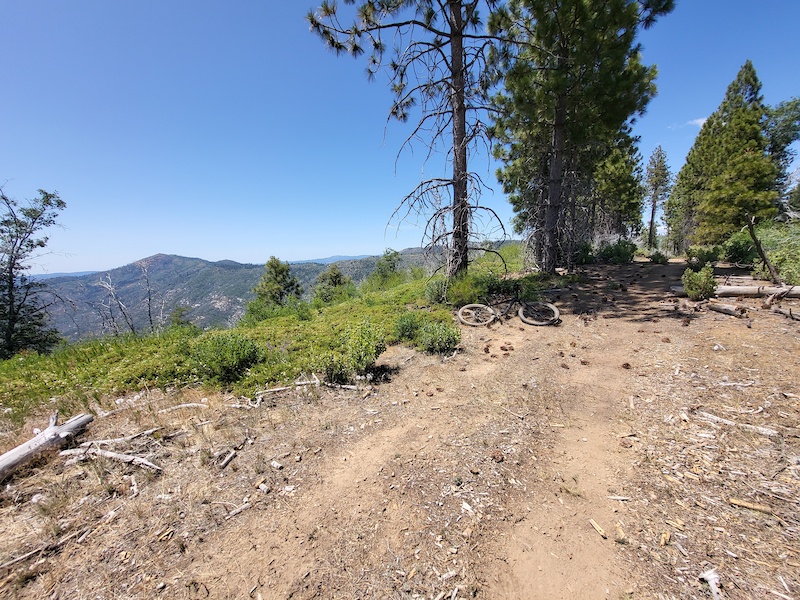 Ned Ridge Multi Trail - Buck Meadows, California