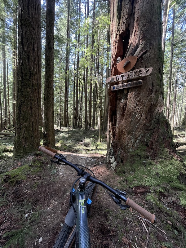 Wild Turkey Mountain Biking Trail - Roberts Creek, BC
