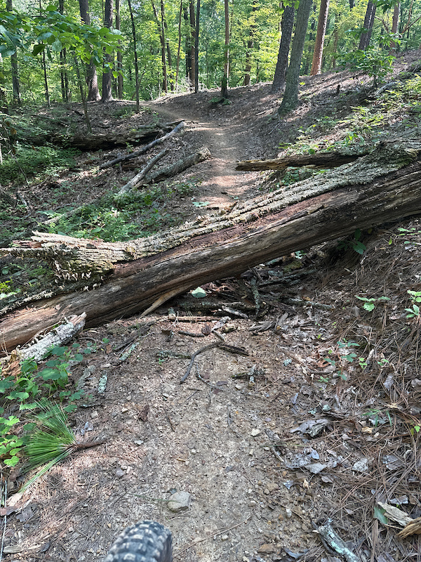 Belcher Byway Multi Trail - Pelham, Alabama | Trailforks