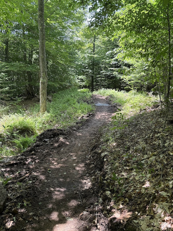 High Traverse Trail Mountain Biking Trail - Inlet, NY