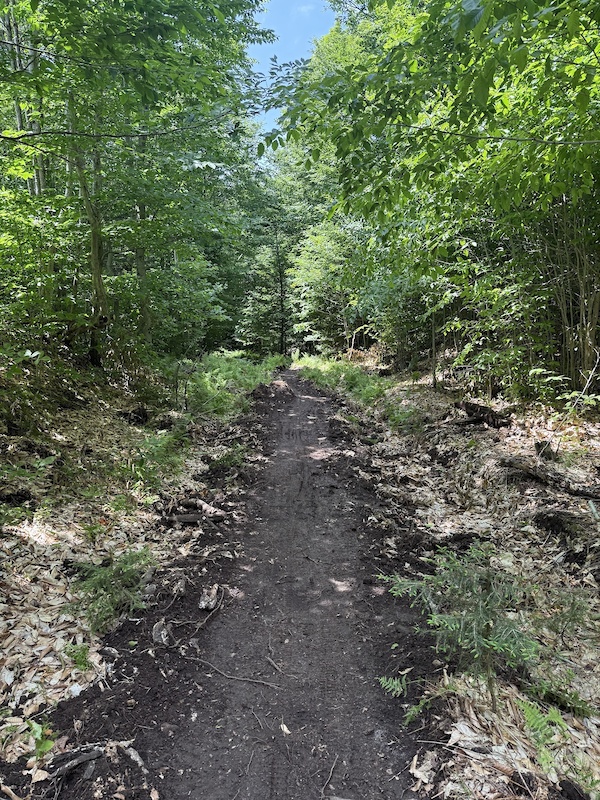 High Traverse Trail Mountain Biking Trail - Inlet, NY