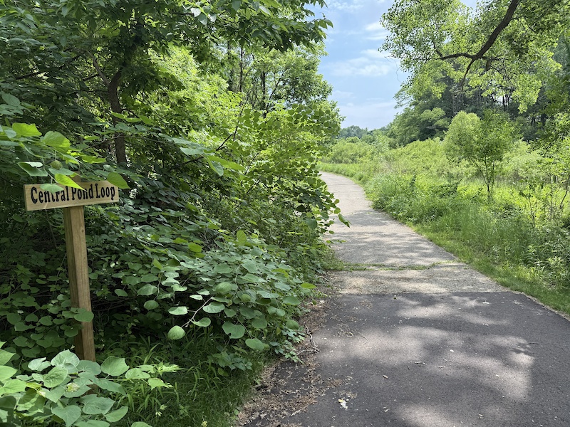 Central Pond Loop Hiking Trail - Lansing, Michigan