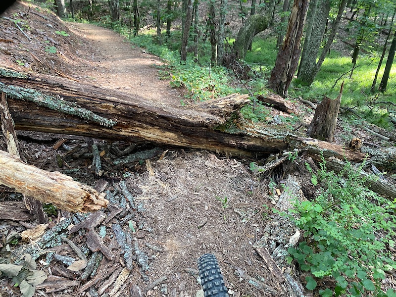 Belcher Byway Multi Trail - Pelham, Alabama | Trailforks