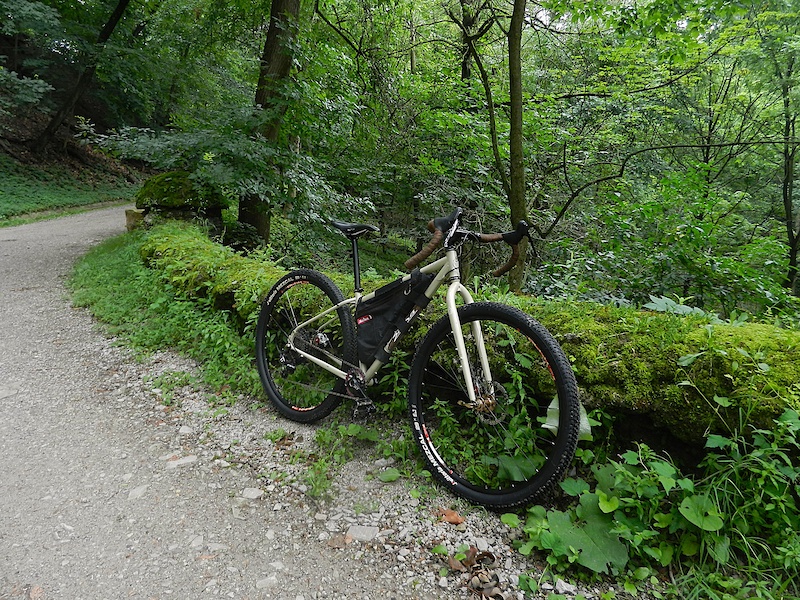 2011 Salsa Fargo Medium For Sale