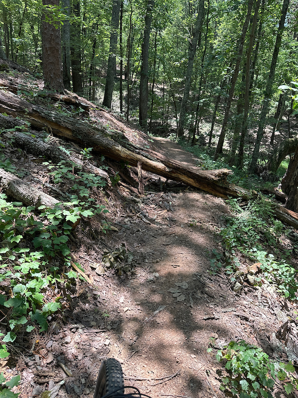 Belcher Byway Multi Trail - Pelham, Alabama | Trailforks