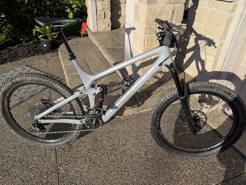 2019 Trek Remedy 9.8 For Sale
