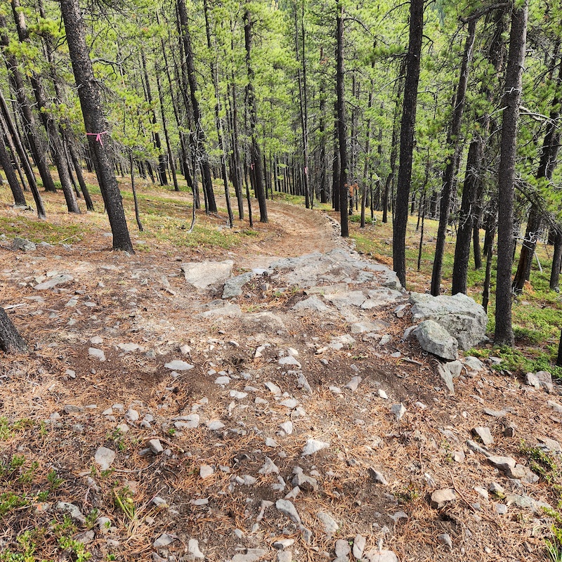 Special Spades Mountain Biking Trail - Bragg Creek
