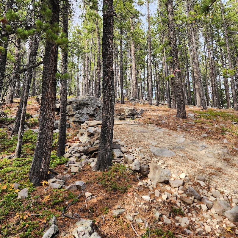 Special Spades Mountain Biking Trail - Bragg Creek