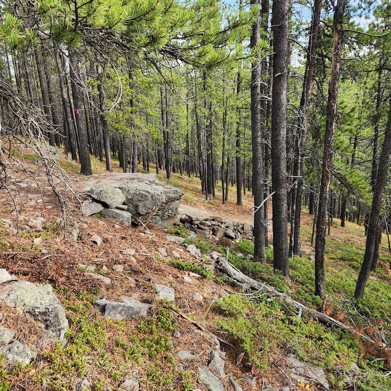 Special Spades Mountain Biking Trail - Bragg Creek