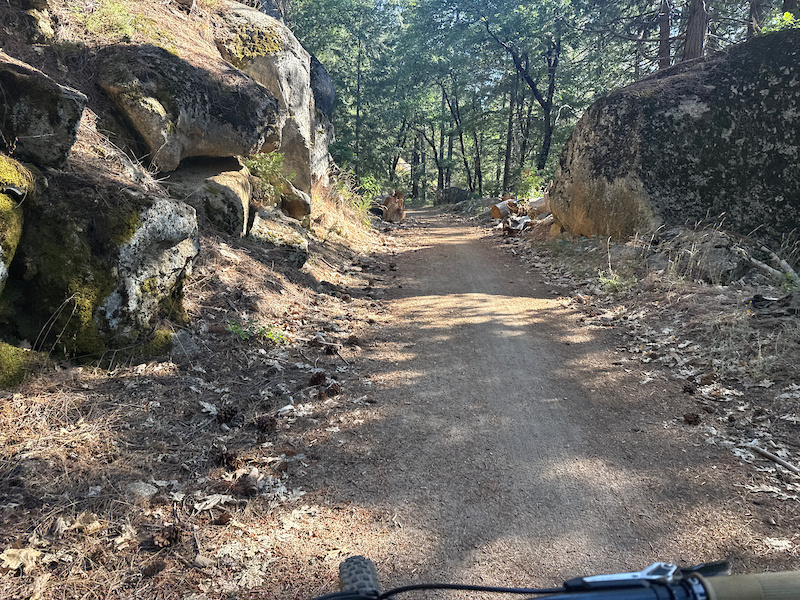 Lyons Lake Road Multi Trail - sierra village, California