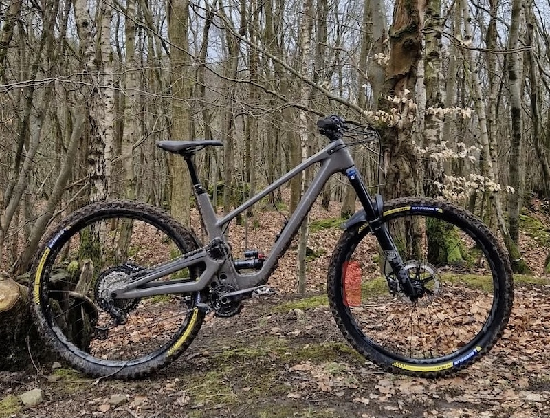 2021 Forbidden Druid V1 For Sale