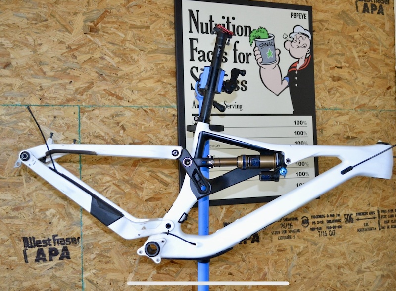 2020 Custom Orbea Rallon Frame and Rear Shock For Sale