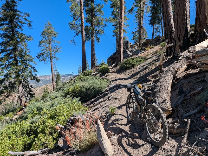 Beach Trail (Beartrap North Rd to Rattlesnake Tr) Multi Trail - Lone Pine