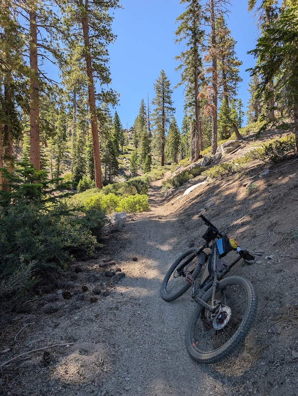 Beach Trail (Beartrap North Rd to Rattlesnake Tr) Multi Trail - Lone Pine