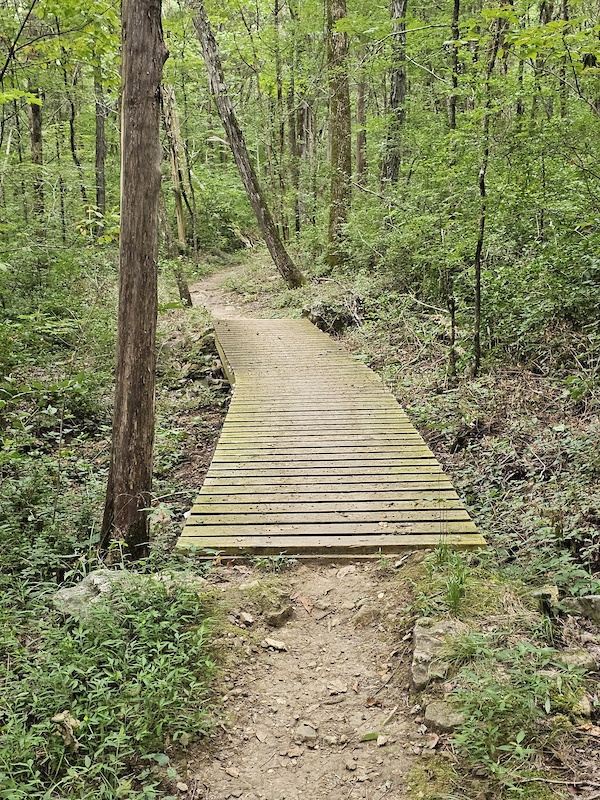 Legacy Loop Trail Mountain Biking Trail - Huntsville
