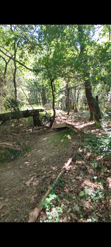 Pussycat line (inferior) Multi Trail - Gatika