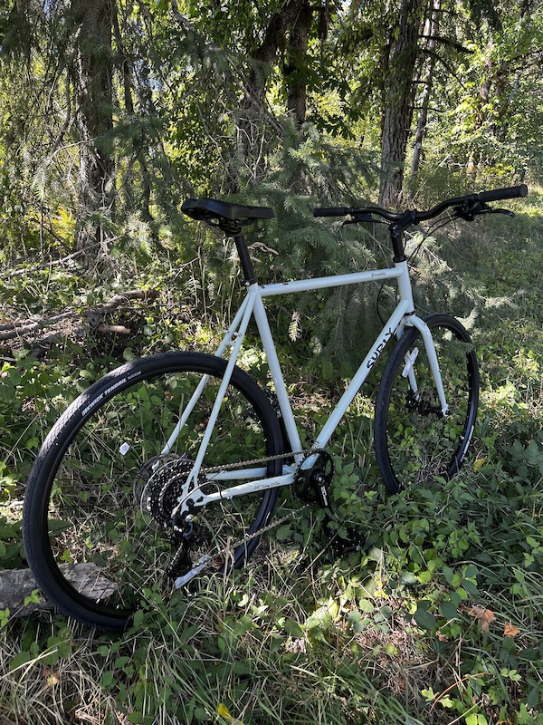 2025 Surly Preamble Large For Sale