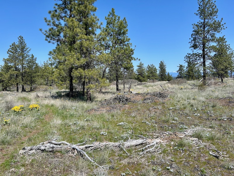 North Palisades Loop Multi Trail - Spokane, Washington