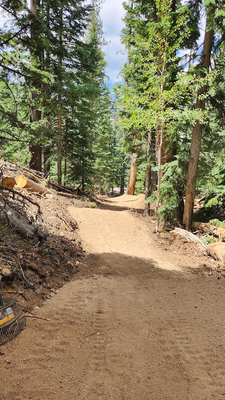 Upper Cartoon Forest Mountain Biking Trail - Greer