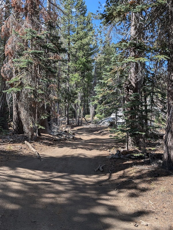 Corral Hollow OHV Trail Multi Trail - - California