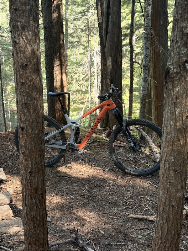 2025 Canyon Strive CFR For Sale