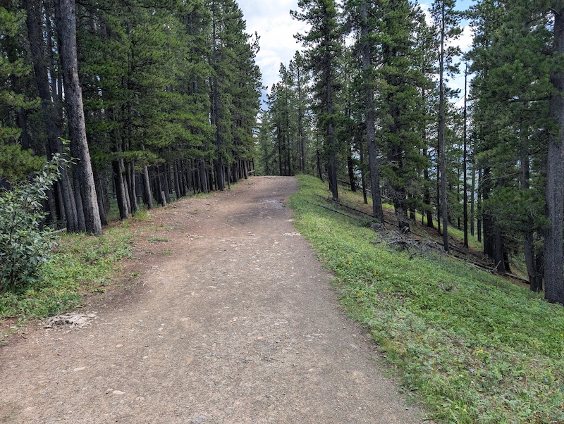 Fullerton Loop Hiking Trail - Bragg Creek, Alberta