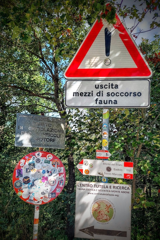Dh Monte Mario Mountain Biking Trail - Sasso Marconi