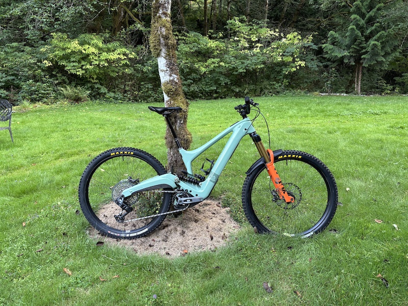 2025 Ibis Oso (Price Drop) For Sale