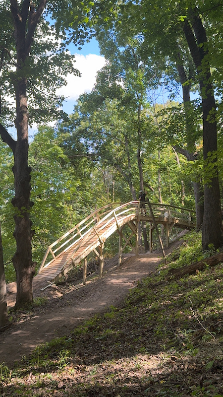 Pinicon Ridge Park Mountain Biking Trails | Trailforks