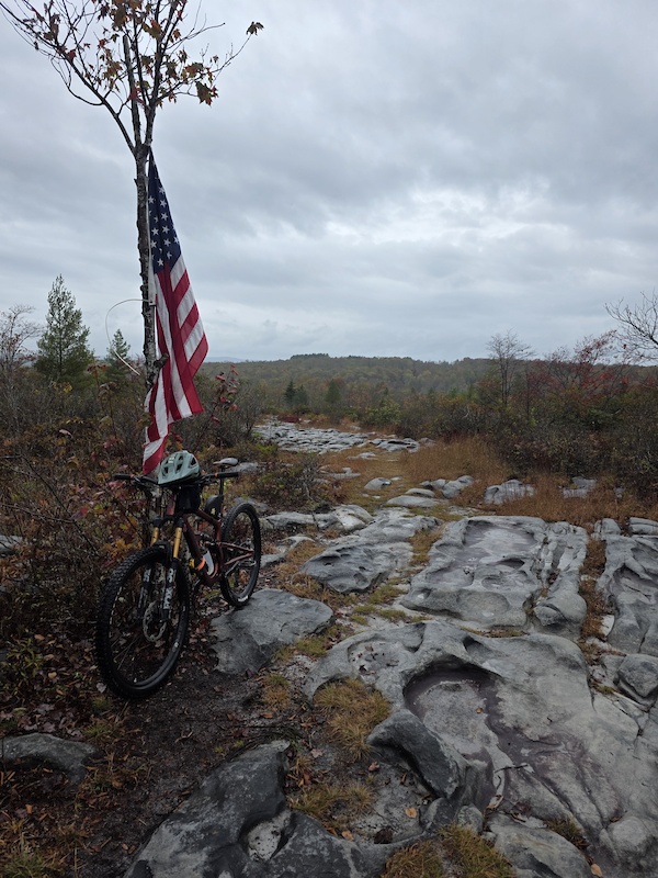 Moon Rocks Trail Multi Trail - Davis, West Virginia